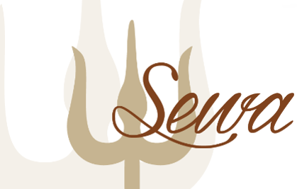 Sewa International Logo